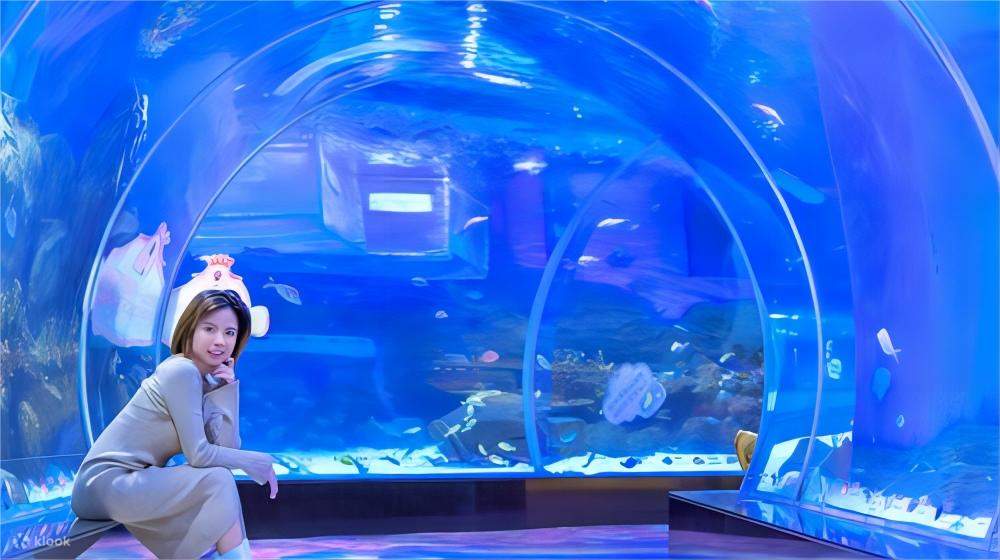 [Limited Time Offer] Shunde Ocean Park Tickets - Klook